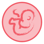 What is Obstetric Fistula? - Catherine Hamlin Fistula Foundation ...